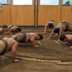 Sumo show and Chanko lunch - Final Thoughts: Is It Worth It?