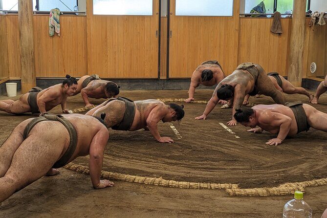 Sumo show and Chanko lunch - Final Thoughts: Is It Worth It?