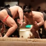 Sumo Wrestling Tournament Chair Seats & Expert Guide | Osaka Mar - In-Depth Look at the Itinerary