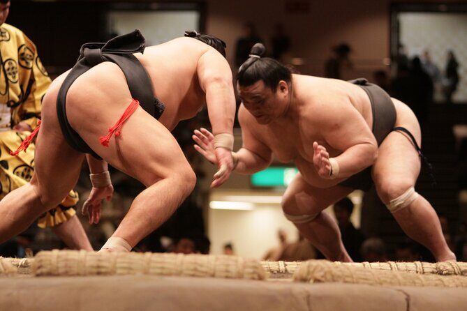 Sumo Wrestling Tournament Chair Seats & Expert Guide | Osaka Mar - In-Depth Look at the Itinerary