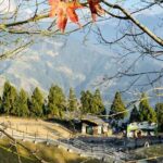 Sun Moon Lake & Cingjing Farm Day Tour from Taichung With Tea Egg - Practical Details and Tips