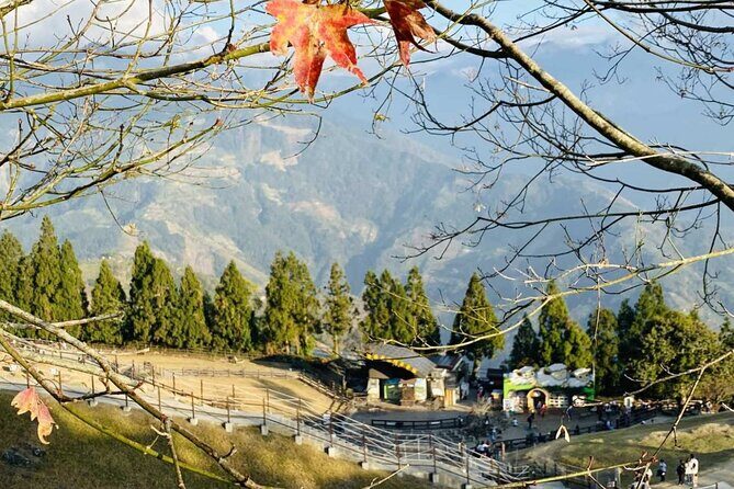 Sun Moon Lake & Cingjing Farm Day Tour from Taichung With Tea Egg - Practical Details and Tips