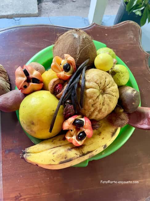 Sun Valley Plantation: Tropical paradise garden with hummingbirds - Final Reflection