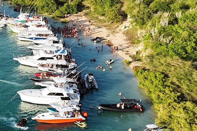 Sunday Boat Festival/Meet up with Djs, open bar & snacks - The Pros and Cons