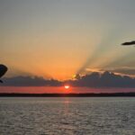 Sunny Lady Dolphin and Sunset Cruises Orange Beach Alabama - Final Thoughts: Why This Cruise Offers Real Value