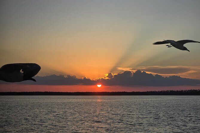 Sunny Lady Dolphin and Sunset Cruises Orange Beach Alabama - Final Thoughts: Why This Cruise Offers Real Value