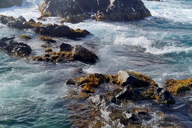 Sunrise Hike and Beach Meditation to Natural Pool (Conchi) - What Makes This Tour Stand Out?