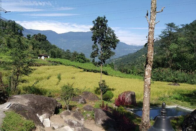 Sunrise in Darjeeling - Authentic Experiences and Realistic Expectations