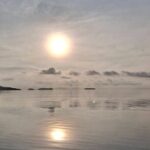 Sunrise Mangrove Boat and Kayak Tour - An In-Depth Look at the Tour Experience