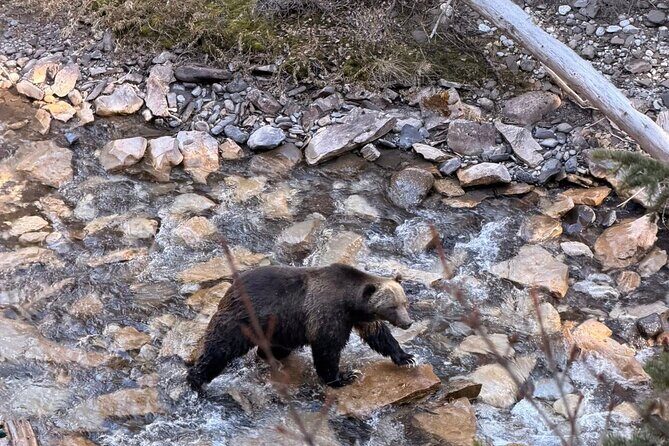 Sunrise Moraine Lake and Lake Louise Adventure - Final Thoughts: Who Will Love This Tour?