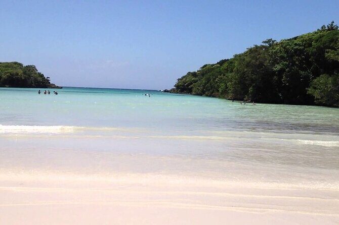 Sunscape Coco Punta Cana - Round Trip Shuttle-Punta Cana Airport - Value & Pricing Analysis