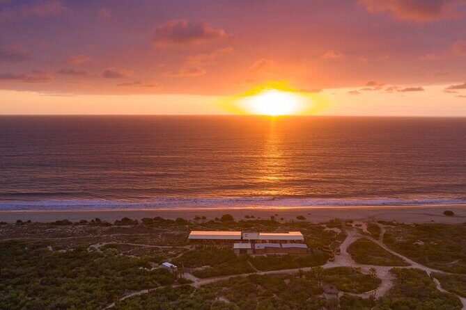 Sunset beach Camel ride with Mexican Buffet and Tequila Tasting - The Value for Your Money