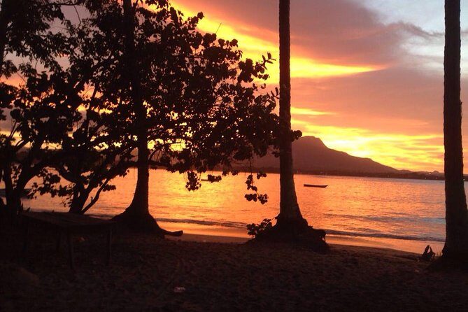 Sunset Beach Horseback Riding - Why the Price is Worth It