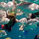 Sunset Catamaran and Snorkeling Cruise At Carlisle Bay - The Itinerary Breakdown: What You Can Expect
