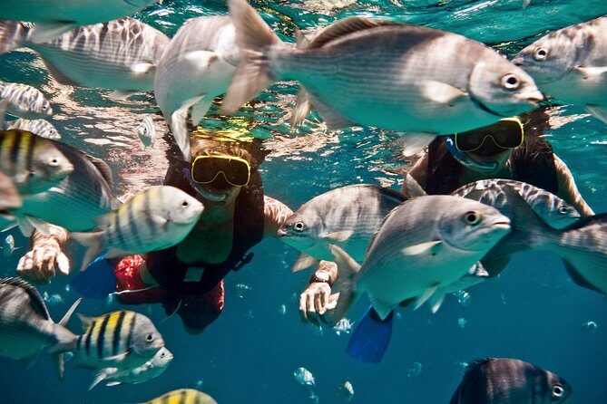 Sunset Catamaran and Snorkeling Cruise At Carlisle Bay - The Itinerary Breakdown: What You Can Expect