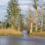 Sunset Cruise - The Sum Up: Why the Wilmington Sunset Cruise Is a Worthwhile Choice