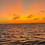 Sunset Cruise Fully Private with Nos Isla - Key Points
