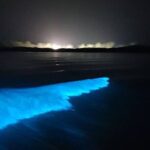 Sunset Cruise Negril Rafting and Luminous Lagoon 3 day Excursion - The Practical Side: What You Need to Know