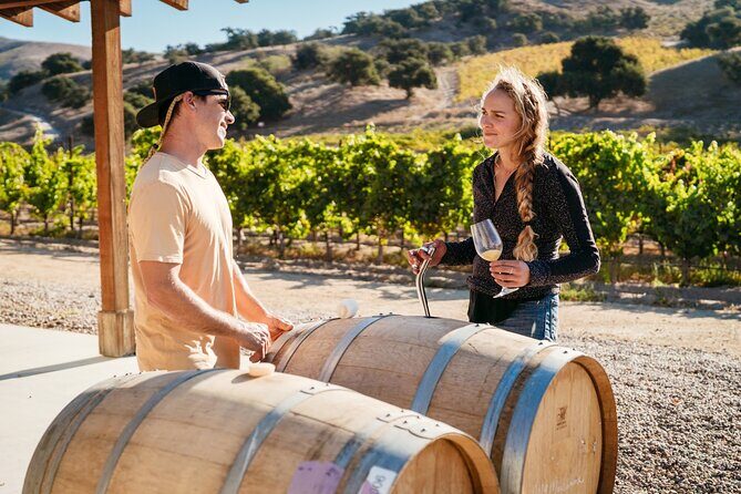 Sunset Eco Farm Experience Sheep Olive Oil Wine Cheese Tasting - What Past Participants Say (Based on Reviews)