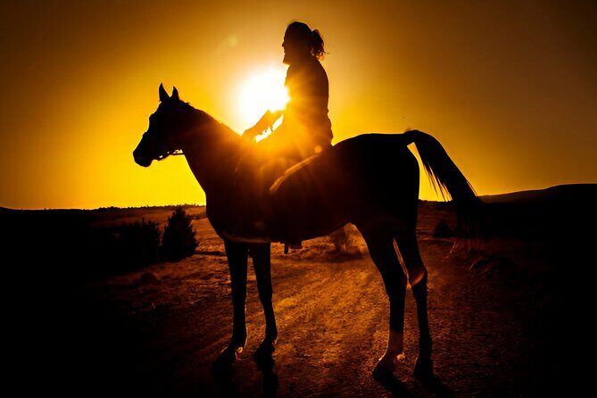 Sunset Horseback Ride at Macao Beach & Forest with Transfers - Who Should Consider This Tour?