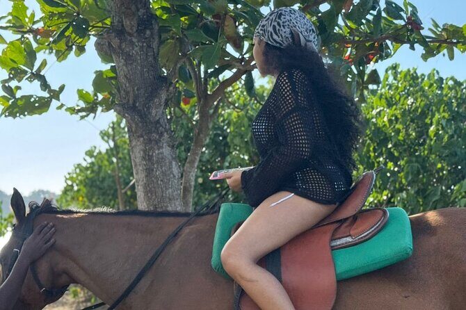 Sunset Horseback Riding and Swim Tour - Final Thoughts on the Sunset Horseback Riding and Swim Tour