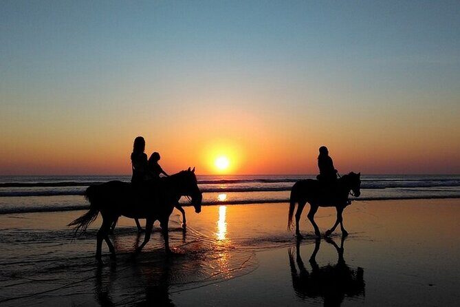 Sunset Horseback Riding in Puerto Plata - Why This Tour Stands Out