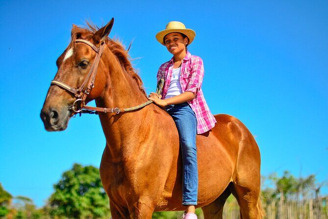 Sunset Horseback Riding Tour in Punta Cana (Private Option) - Authentic Feedback from Travelers