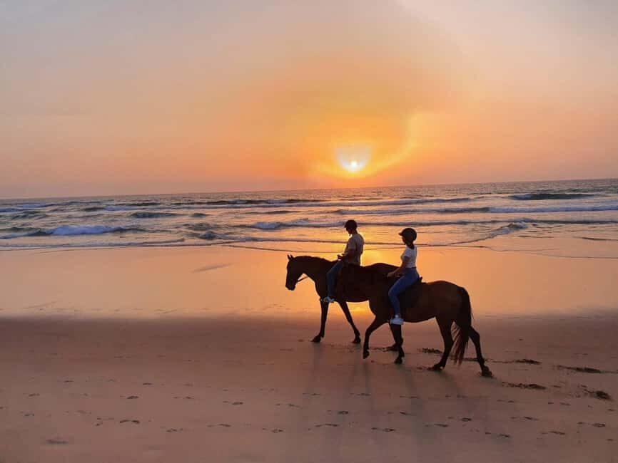 Sunset on Horseback at El Limón Beach - Who Will Love This Tour?