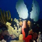 Sunset on the Water + Night Snorkeling with Guide in St. Thomas - Who Should Consider This Tour?