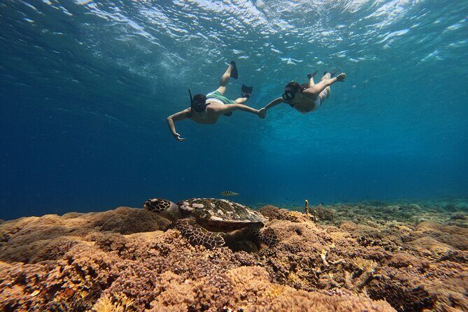 Sunset Snorkeling with Picture & Video in Gili Meno Turtle - The Value of This Tour