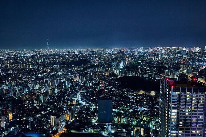 Sunshine 60 Observatory Tenbou Park - Final Thoughts