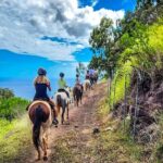 Sunshine Mountain Vista Horseback Trail Ride on Oahu - An Overview of What to Expect