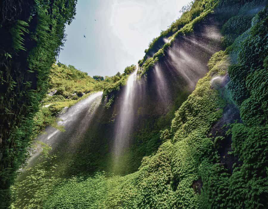 Surabaya: Mount Bromo National Park Private Full-Day Tour - Final Thoughts