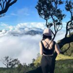 Surabaya: Mount Bromo Sunrise Private Tour - The Vantage Points and Sunrise Experience