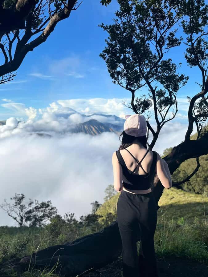 Surabaya: Mount Bromo Sunrise Private Tour - The Vantage Points and Sunrise Experience