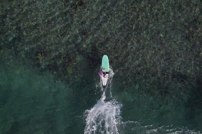 Surf lessons Guadeloupe beginners intermediate confirmed - Why This Surf Lesson Offers Real Value