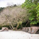 Surin Islands 2 Days 1 Night Trip from Phuket - What Sets This Tour Apart