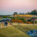 Suwon Hwaseon & King Cherry Blossom Gakwonsa & Flower Festival - The Experience: Why It’s Worth Considering