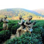 Suzhou Eco Village Private Day Tour with Lunch and Hot Spring Spa - Authenticity and Traveler Insights