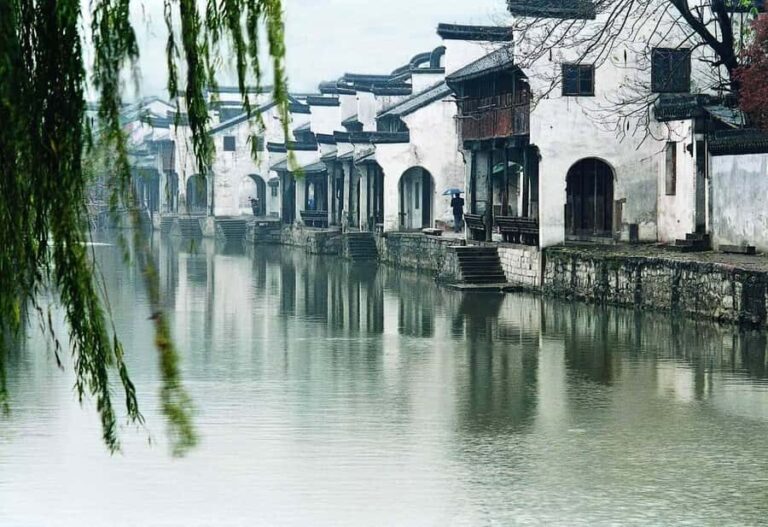 Suzhou: Gardens and Tongli or Zhouzhuang Water Town - Who Should Consider This Tour?