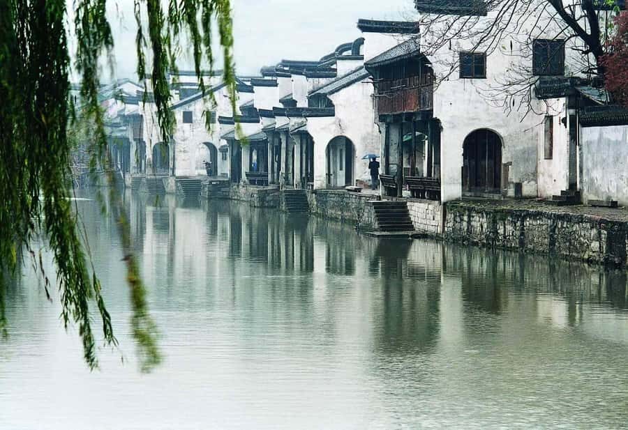 Suzhou: Gardens and Tongli or Zhouzhuang Water Town - Who Should Consider This Tour?