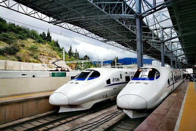 Suzhou Private Departure Transfer: Hotel to Railway Station - Who Will Benefit Most from This Service?