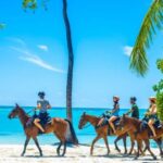 Swim Horse fom Punta Cana - The Value: Is It Worth It?