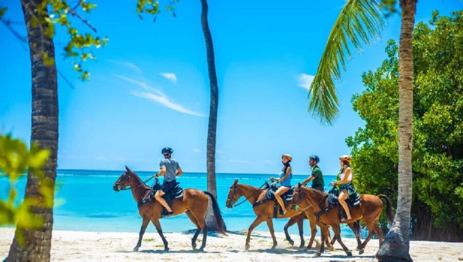 Swim Horse fom Punta Cana - The Value: Is It Worth It?