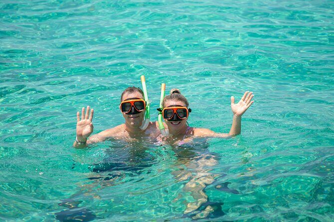 Swim with Famous Pigs at Rose Island - FAQs