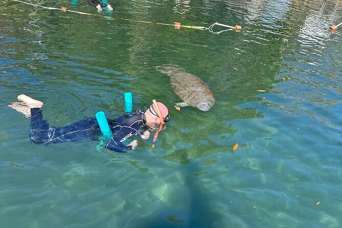 Swim with Manatees Private Tour - Who Would Love This Tour?