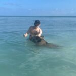 Swim with the Pigs Freeport @Creative Eco Adventures - The Value of This Experience