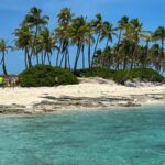 Swim with the Pigs Safari in Bahamas (2hrs) - The Authenticity & Why Travelers Love It