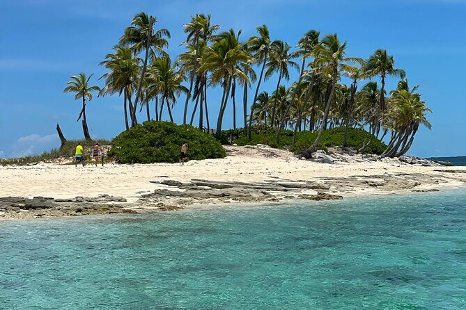 Swim with the Pigs Safari in Bahamas (2hrs) - The Authenticity & Why Travelers Love It