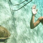 Swim with Turtles at Turtle Bay, Curacao: Boat, Blue Room Cave - Detailed Breakdown of the Itinerary